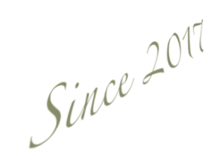 't Trappetje – De meest sfeervolle en gezellige lunchroom van Kampen!..