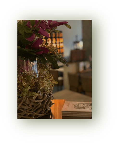 't Trappetje – De gezelligste en sfeervolle lunchroom van Kampen!…